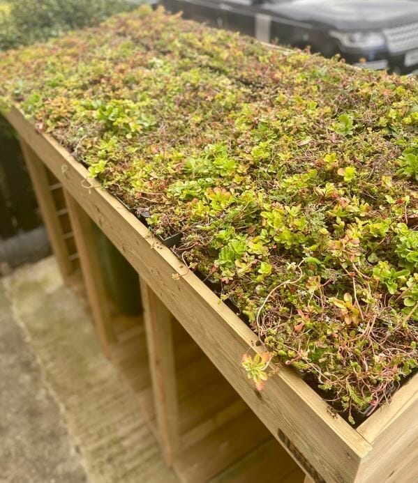 GrufeKit Sedum & Wildflower Green Roof Module 540mm x 540mm | RSUK