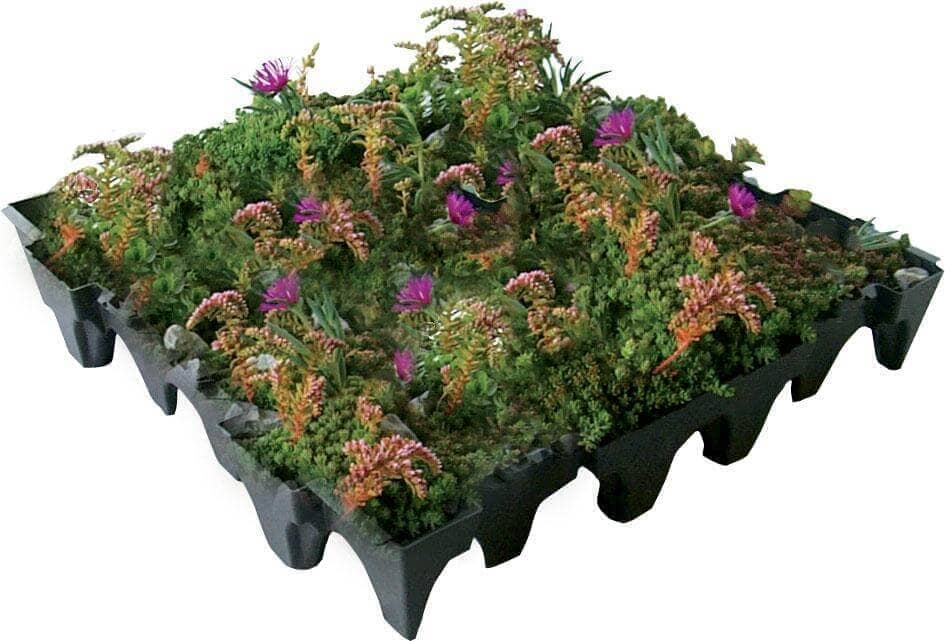 GrufeKit Sedum & Wildflower Green Roof Module 540mm x 540mm | RSUK